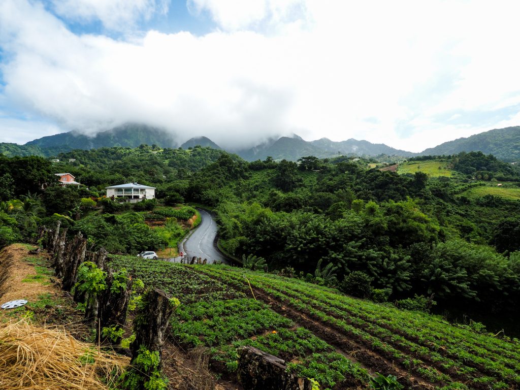 morne vert martinique - Oh et Puis...