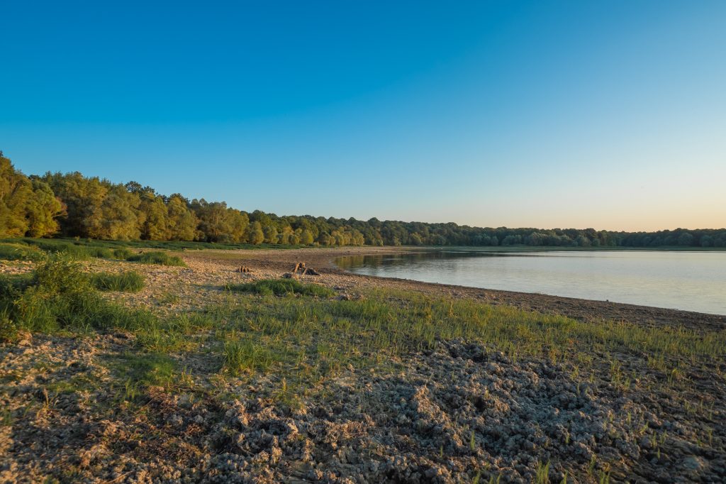 visite lac d'amance et forêt d'orient - Oh et Puis...